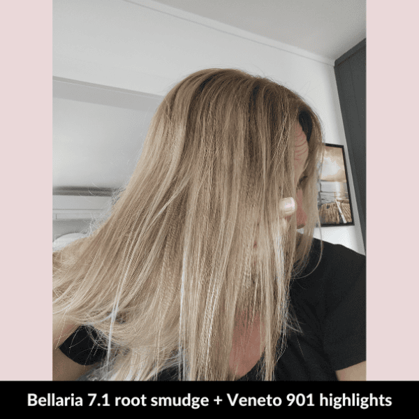 Highlights Kit | The Shade